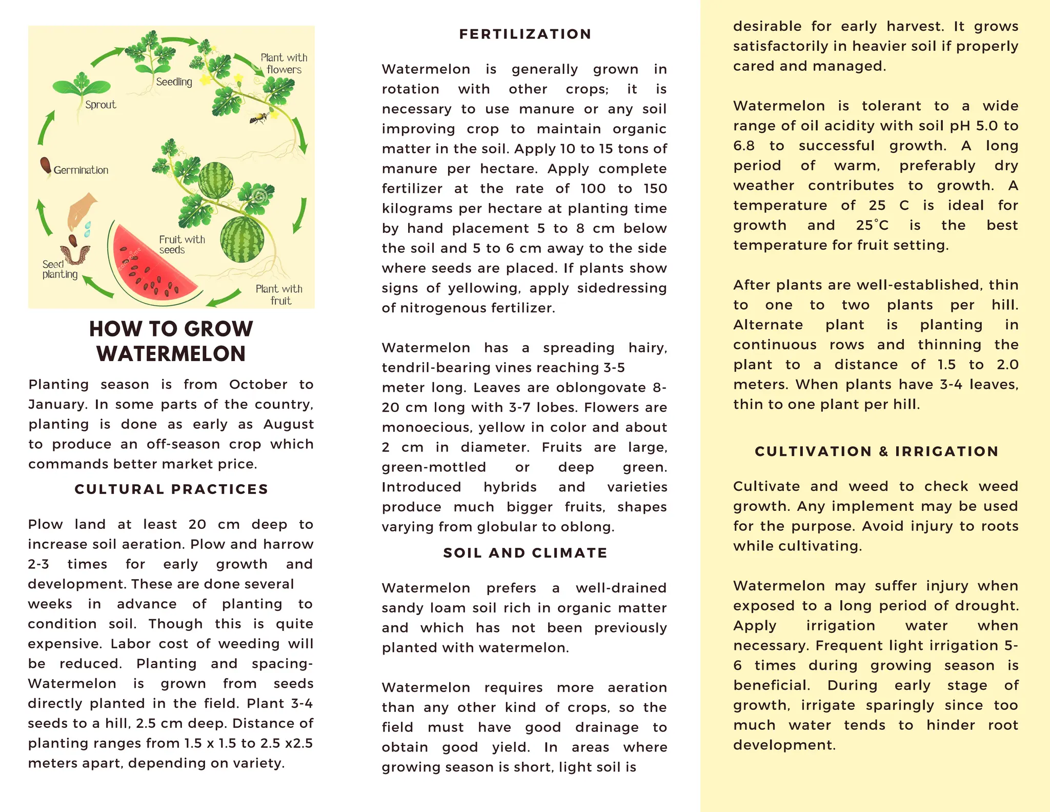 Watermelon Production Guide.pdf bwhahahahaaia | PPT