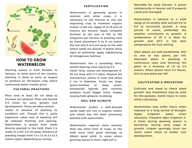 Watermelon Production Guide.pdf bwhahahahaaia | PPT