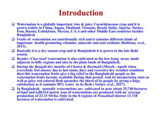 Watermelon Research in BRAC | PPT