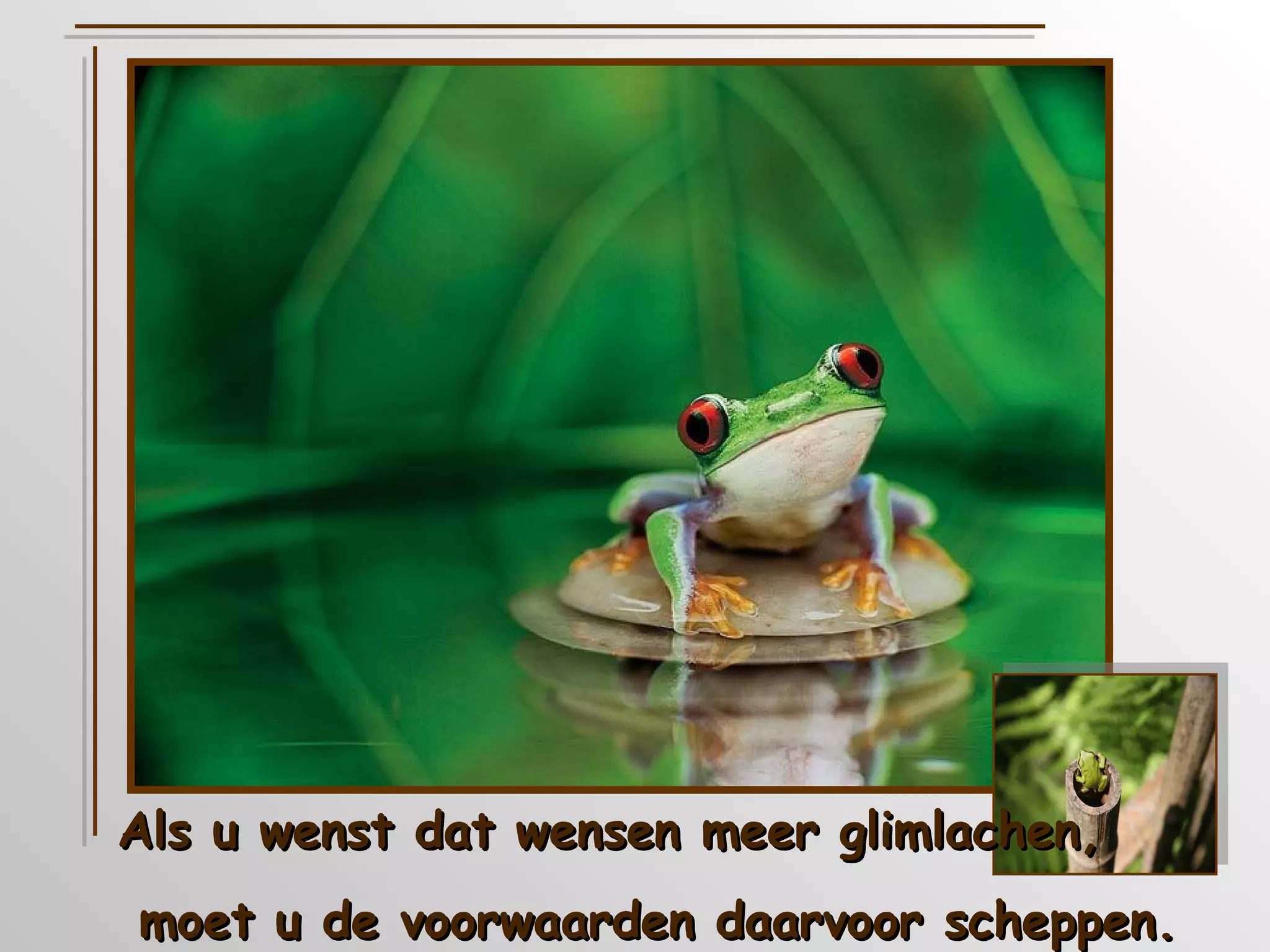 Watermerk | PPT