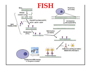 Water Microbes Detection Methods and Techniques | PDF