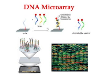 Water Microbes Detection Methods and Techniques | PDF