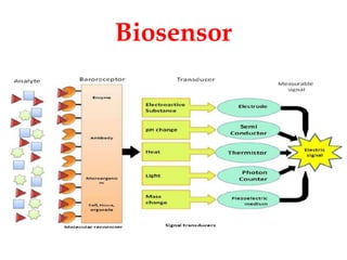 Water Microbes Detection Methods and Techniques | PDF