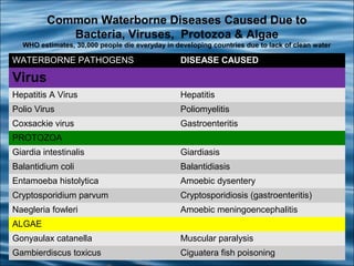 Diseases Caused By Bacteria In Water