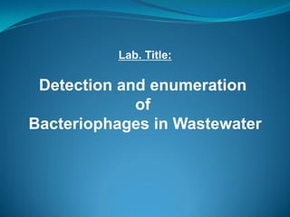Water microbiology | PDF