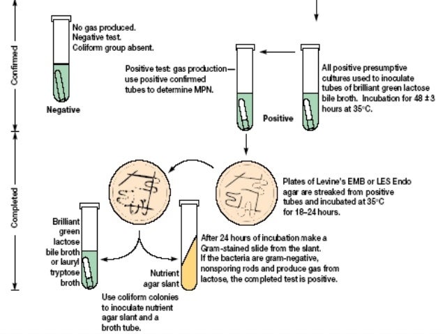 Water microbiology