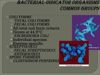 Water microbiology | PPT