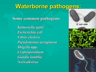 Water microbiology | PPT