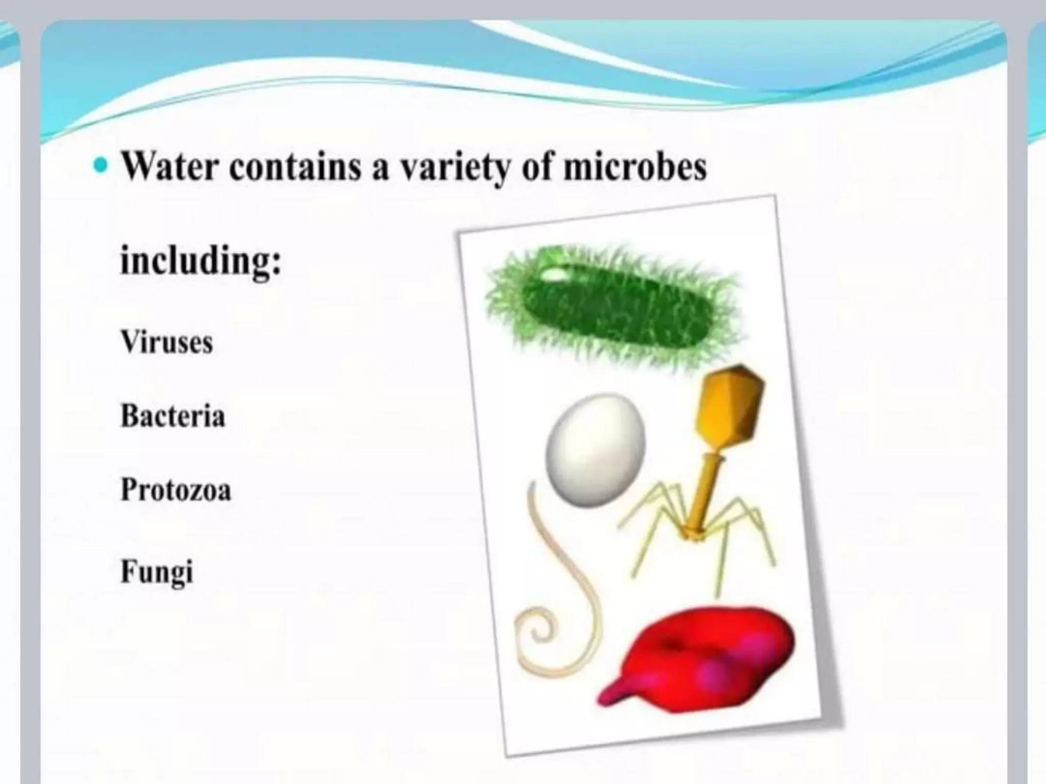 water microbiology.pptx
