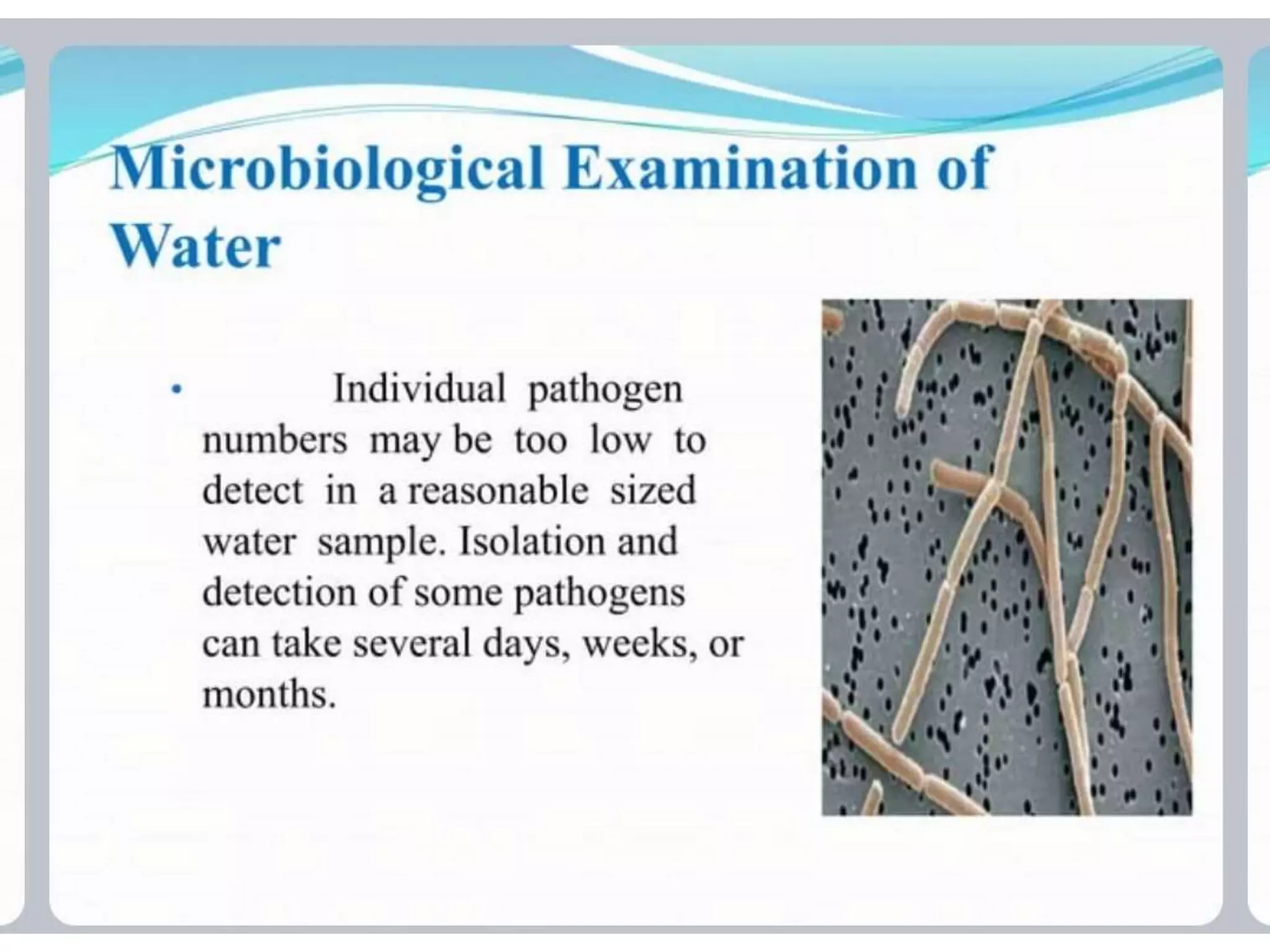 water microbiology.pptx