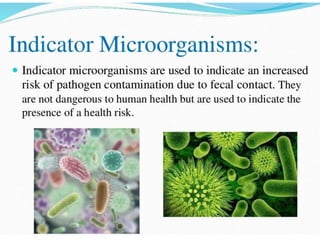 Water Microbiology and its role in Disease.pdf