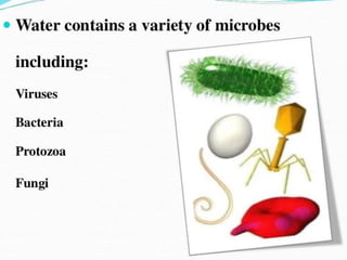 Water Microbiology and its role in Disease.pdf