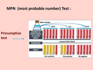 Water microbiology | PPT