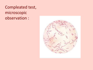 Water microbiology | PPTX