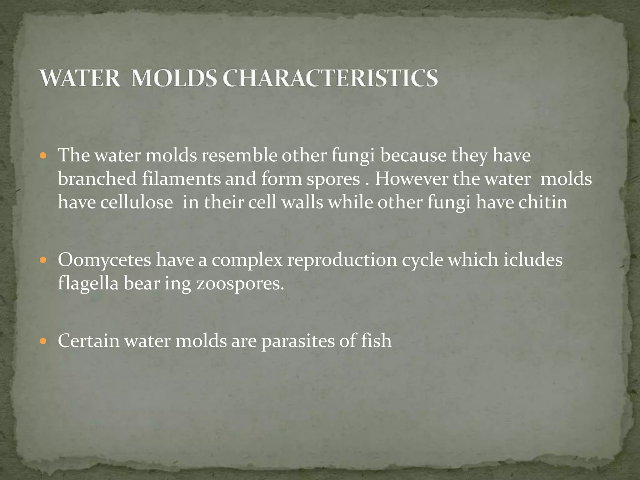 WATER MOLDS BP221507 NANDHINI.pptx | Biological Sciences | Science