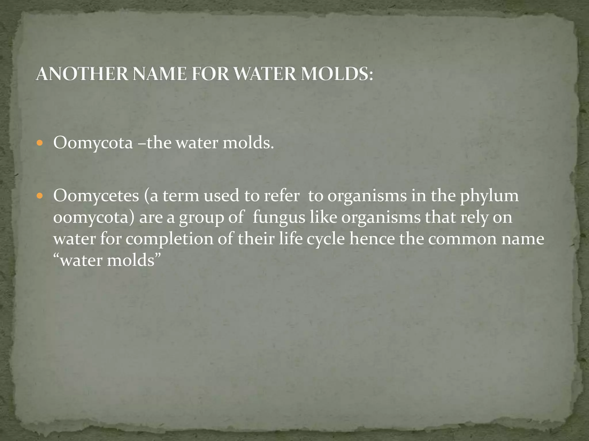 WATER MOLDS BP221507 NANDHINI.pptx | Biological Sciences | Science