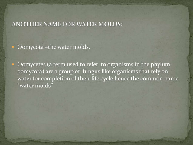 WATER MOLDS BP221507 NANDHINI.pptx | Biological Sciences | Science