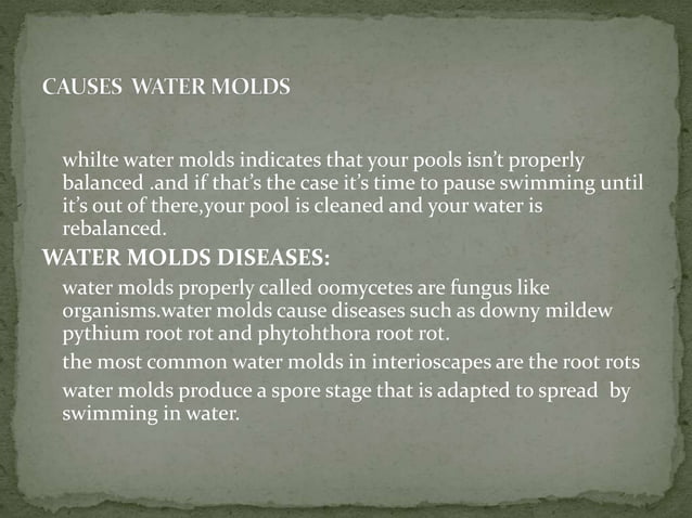 WATER MOLDS BP221507 NANDHINI.pptx | Biological Sciences | Science