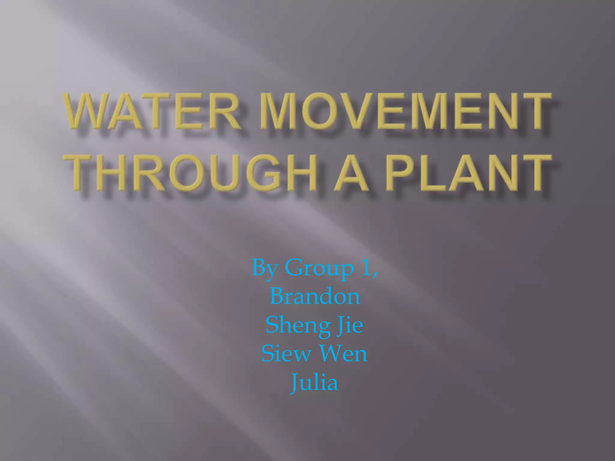 Water movement through a Plant | PPTX