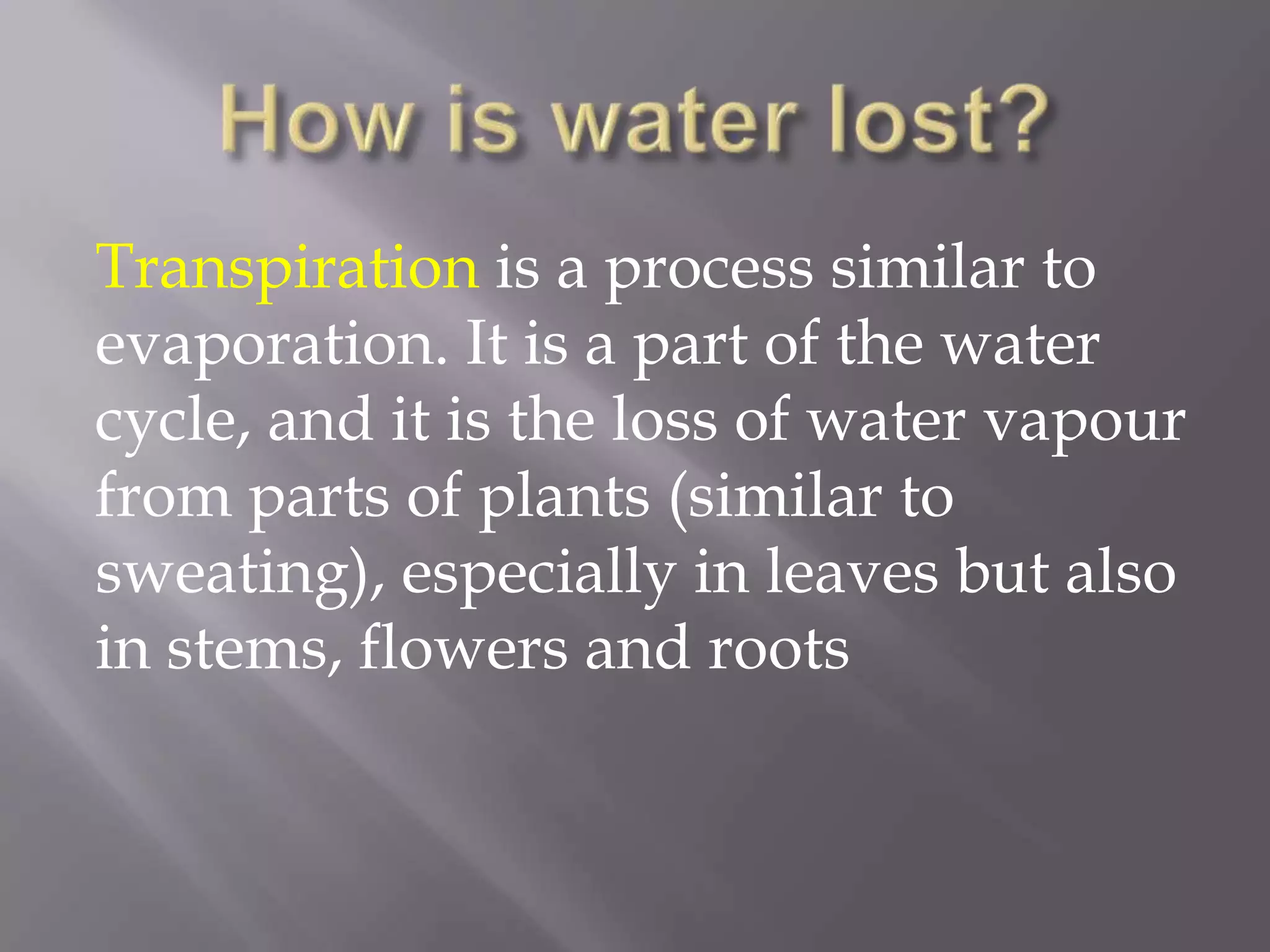 Water movement through a Plant | PPTX