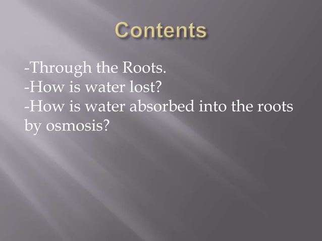 Water movement through a Plant | PPT