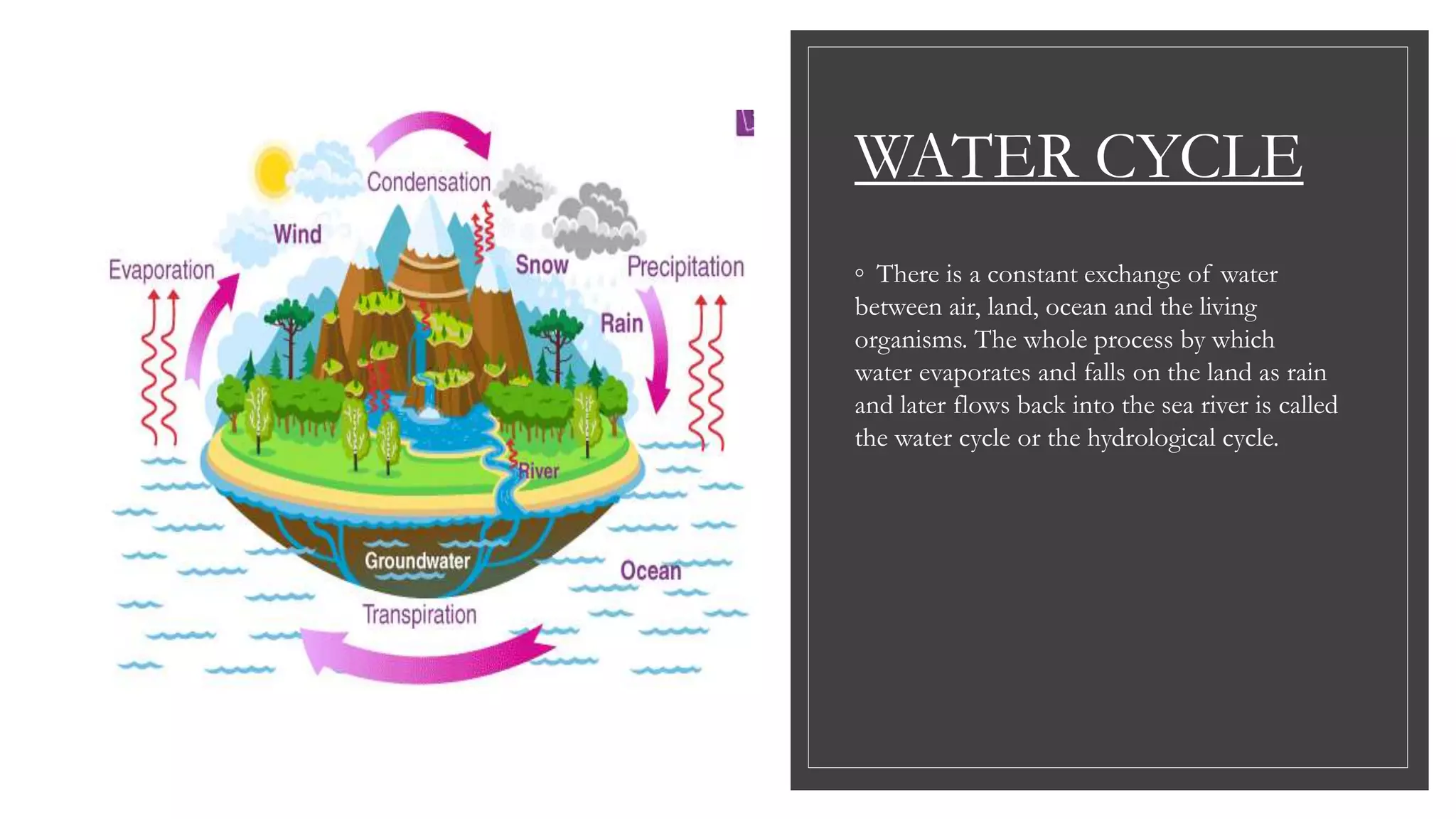 Water And Nitrogen cycle | PPT