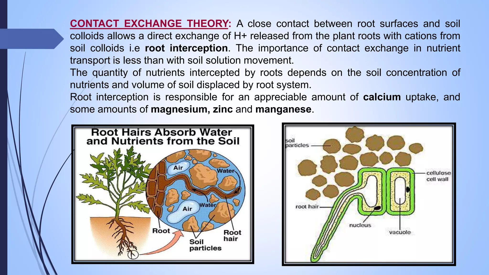 Water nutrient interaction | PPTX