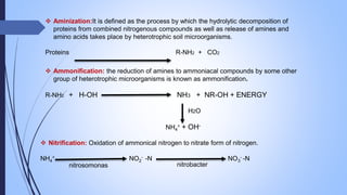 Water nutrient interaction | PPTX