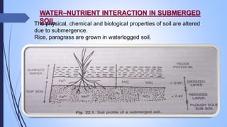 Water nutrient interaction | PPTX