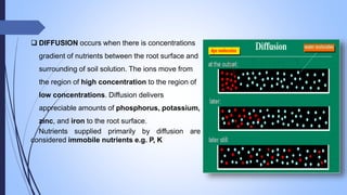 Water nutrient interaction | PPTX
