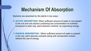 Water nutrient interaction | PPTX