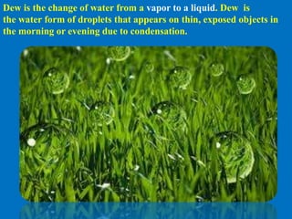 WATER O’ WATER! - ENVIRONMENTAL STUDIES CLASS III-CBSE | PPTX