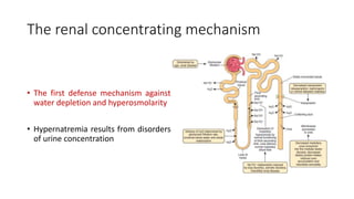 Physiology of water balance and Hypernatremia | PPTX