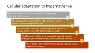 Physiology of water balance and Hypernatremia | PPTX
