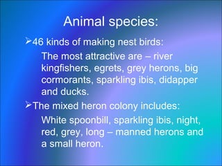 Water plants and animals | PPT