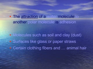Water's Polarity | PPT