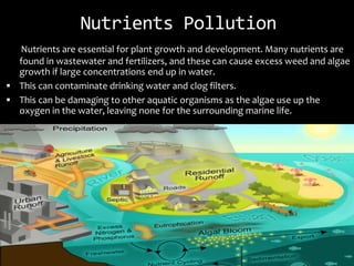 Water pollution..! | PPT