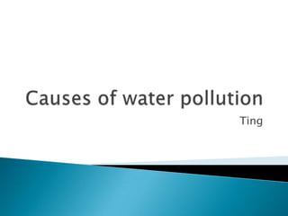 Water pollution | PPTX
