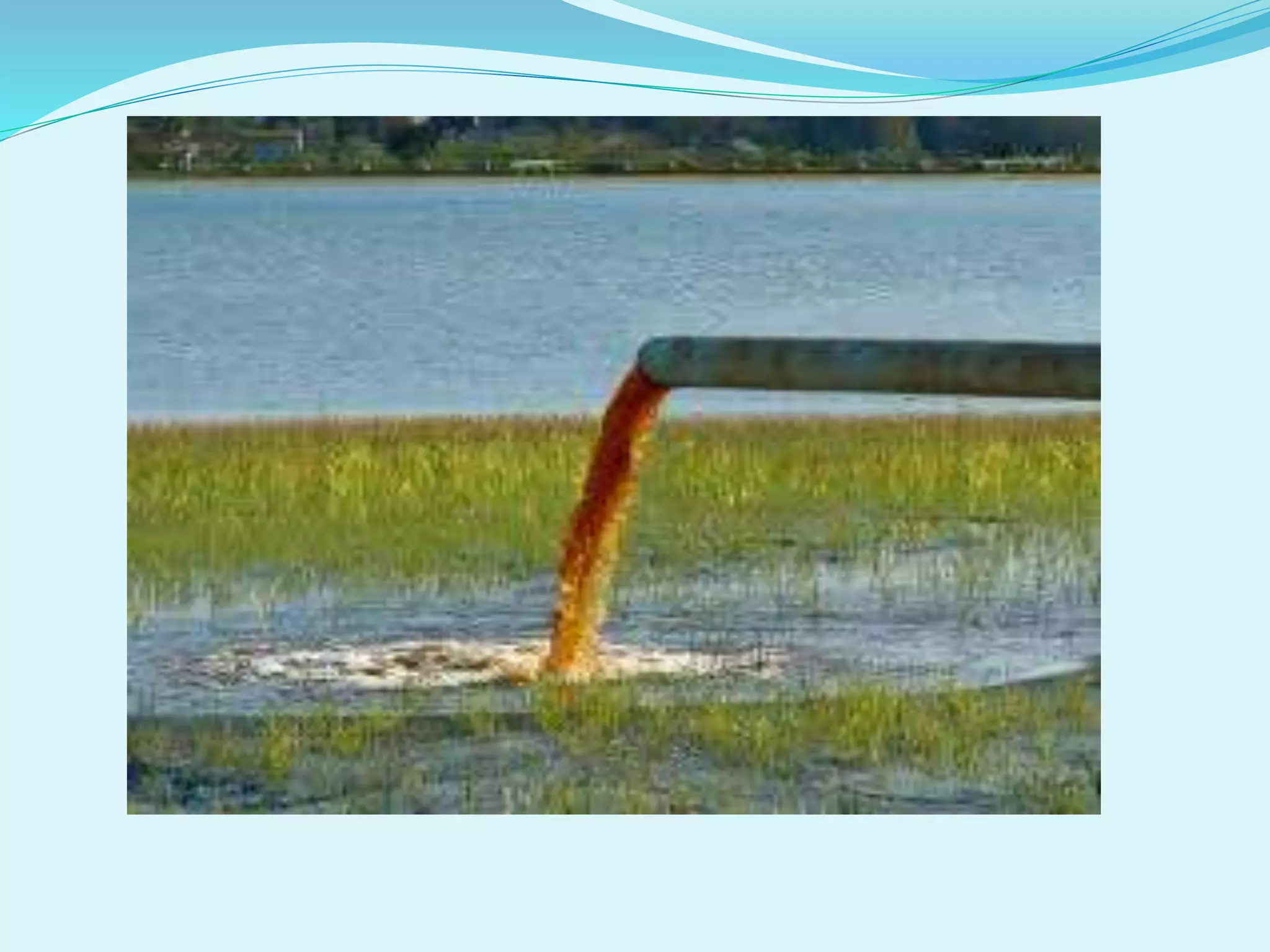 Water pollution (Environmental Science) Grade 7 | PPTX | Indoor ...