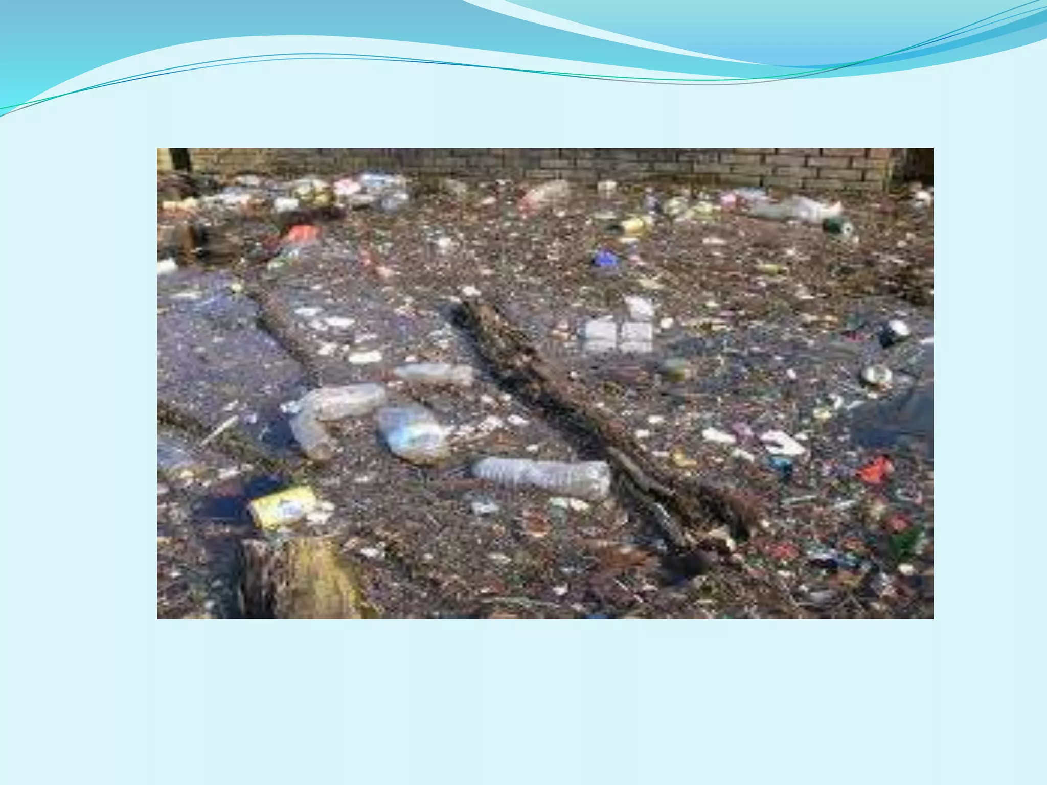 Water pollution (Environmental Science) Grade 7 | PPTX