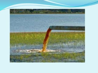 Water pollution (Environmental Science) Grade 7 | PPTX