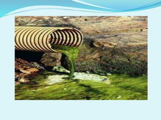 Water pollution (Environmental Science) Grade 7 | PPTX