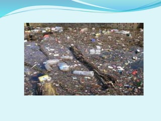 Water pollution (Environmental Science) Grade 7 | PPTX