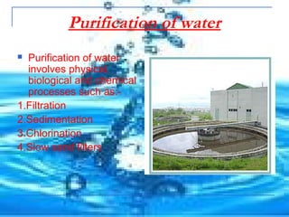 Water pollution | PPT