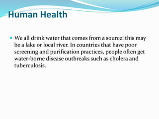 Water pollution | PPT