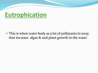 Water pollution | PPTX