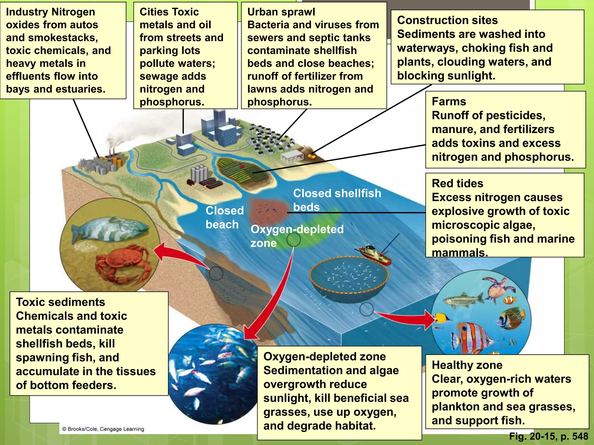 Water pollution | PPTX