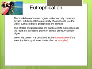 Water pollution | PPTX
