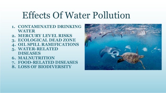 Water Pollution & It’s Effects
