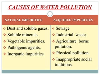 Water pollution | PPTX